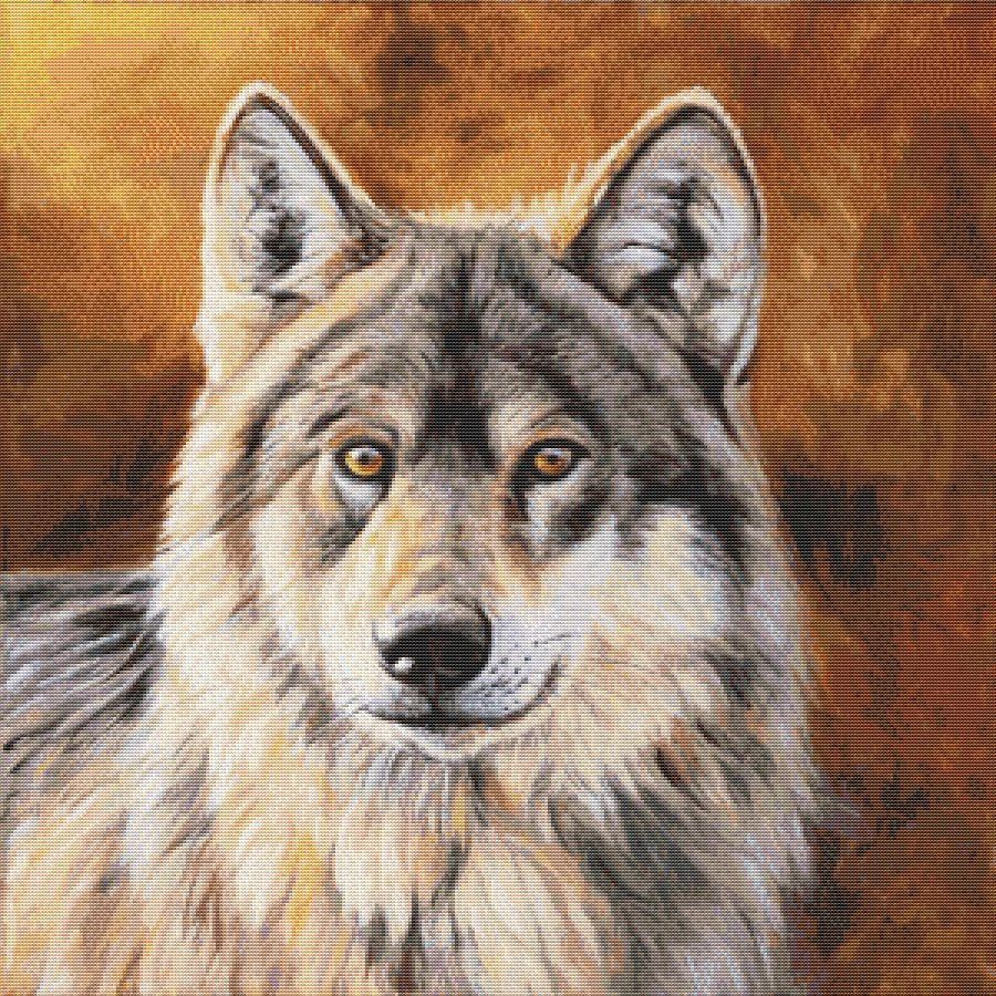 Locked On Grey Wolf PDF